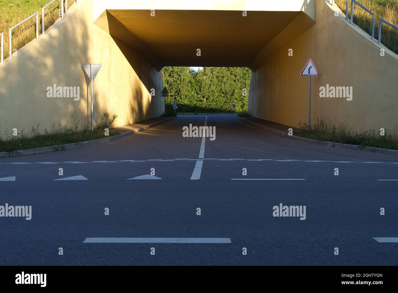 Empty underpass road with leafy green trees at the end of the tunnel ...