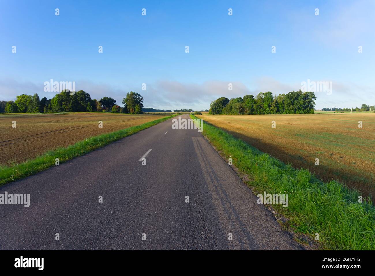 Low angle view of the empty rural asphalt road in a diminishing or ...