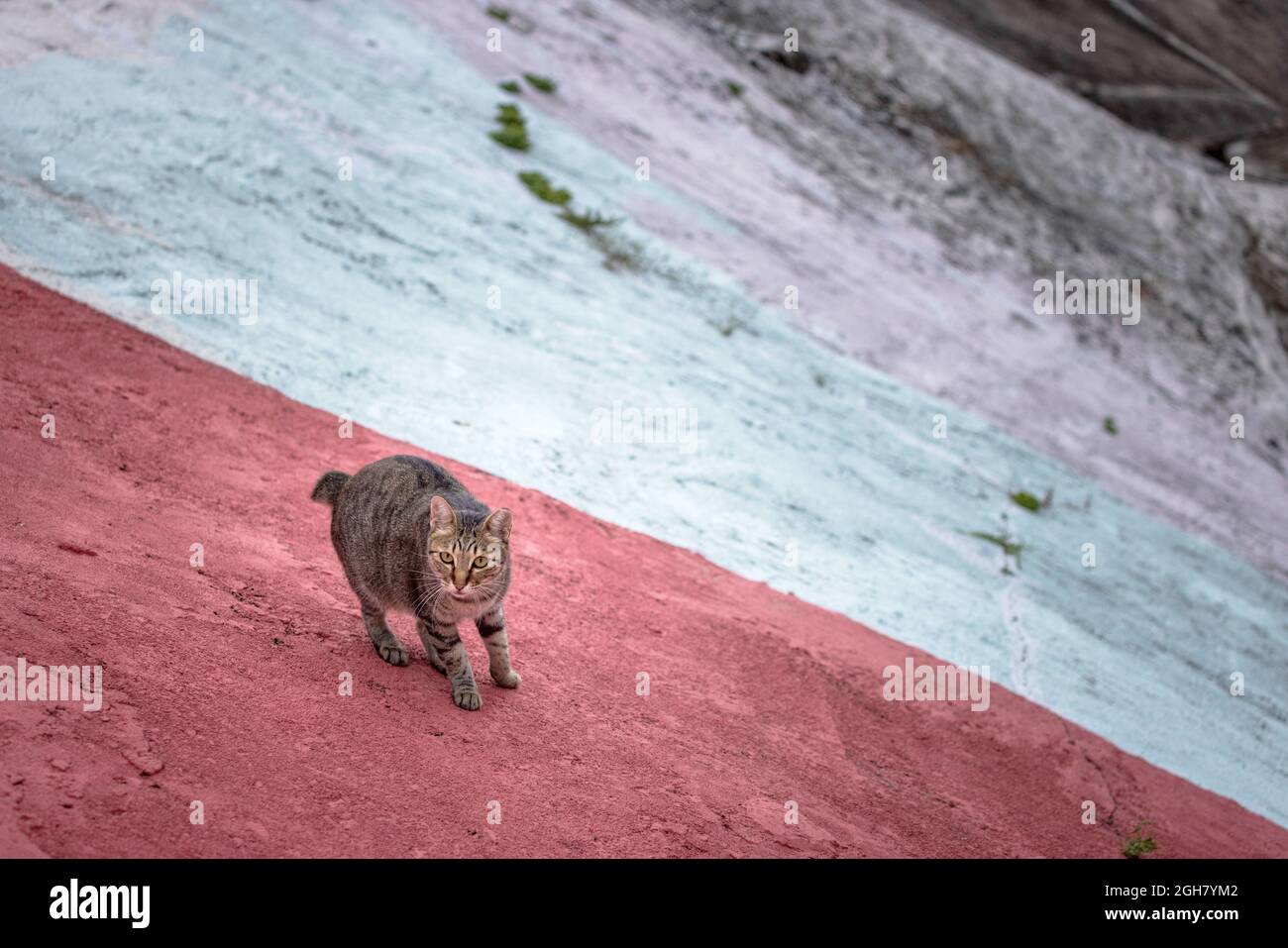 A red ground hi-res stock photography and images - Alamy