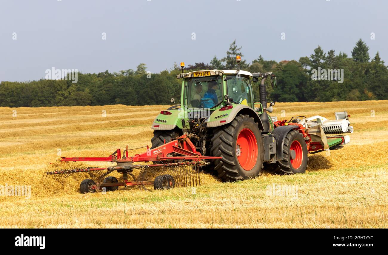 Tractor in a field raking straw with a rotary hay rake in preparation ...