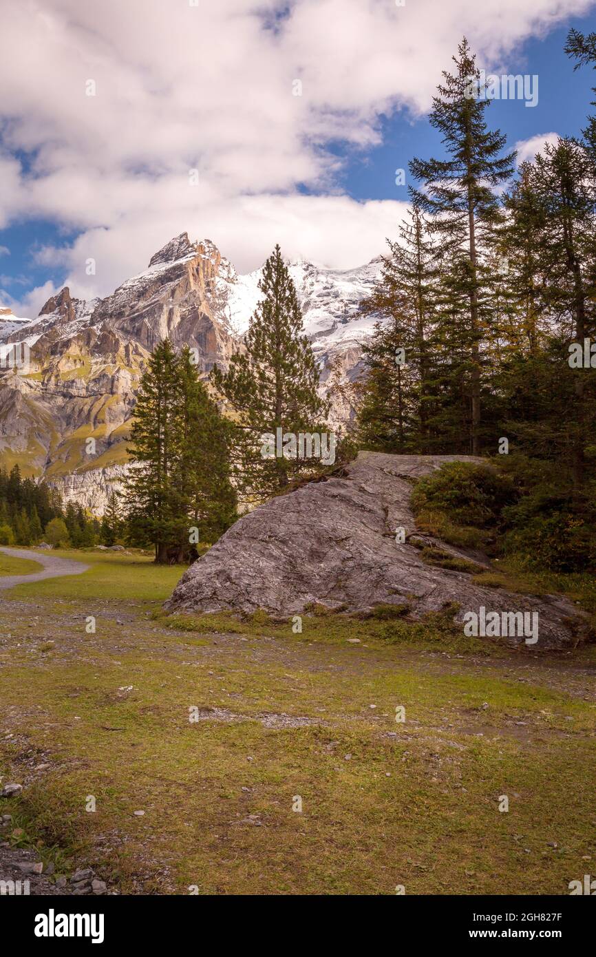 Bernese Alps snow peaks and green pine trees panorama near Kandersteg ...