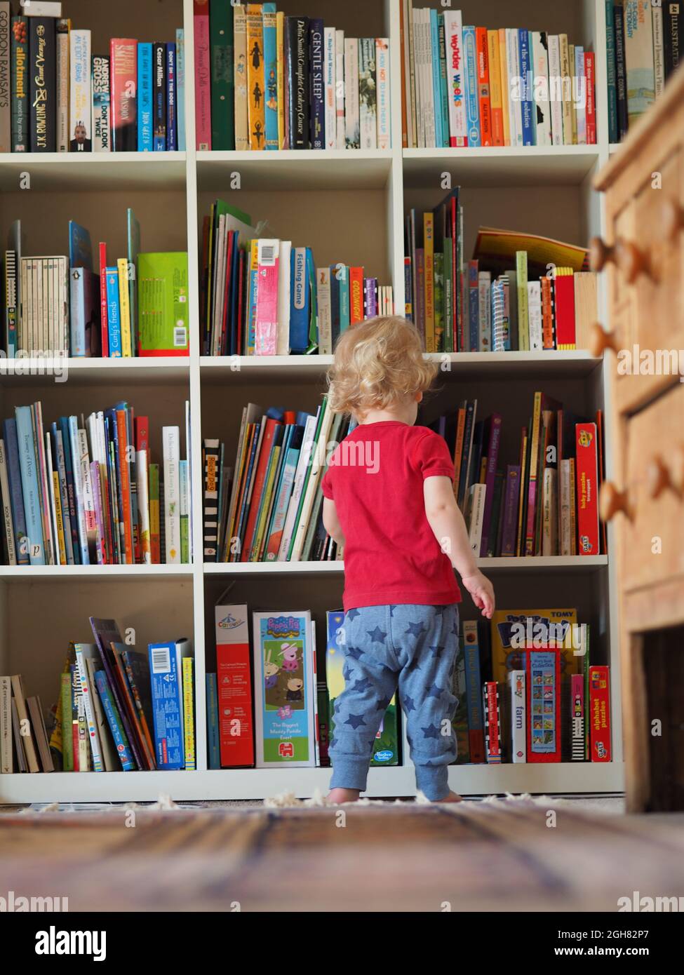 Bookshelf Library Children reading Stock Photo - Alamy
