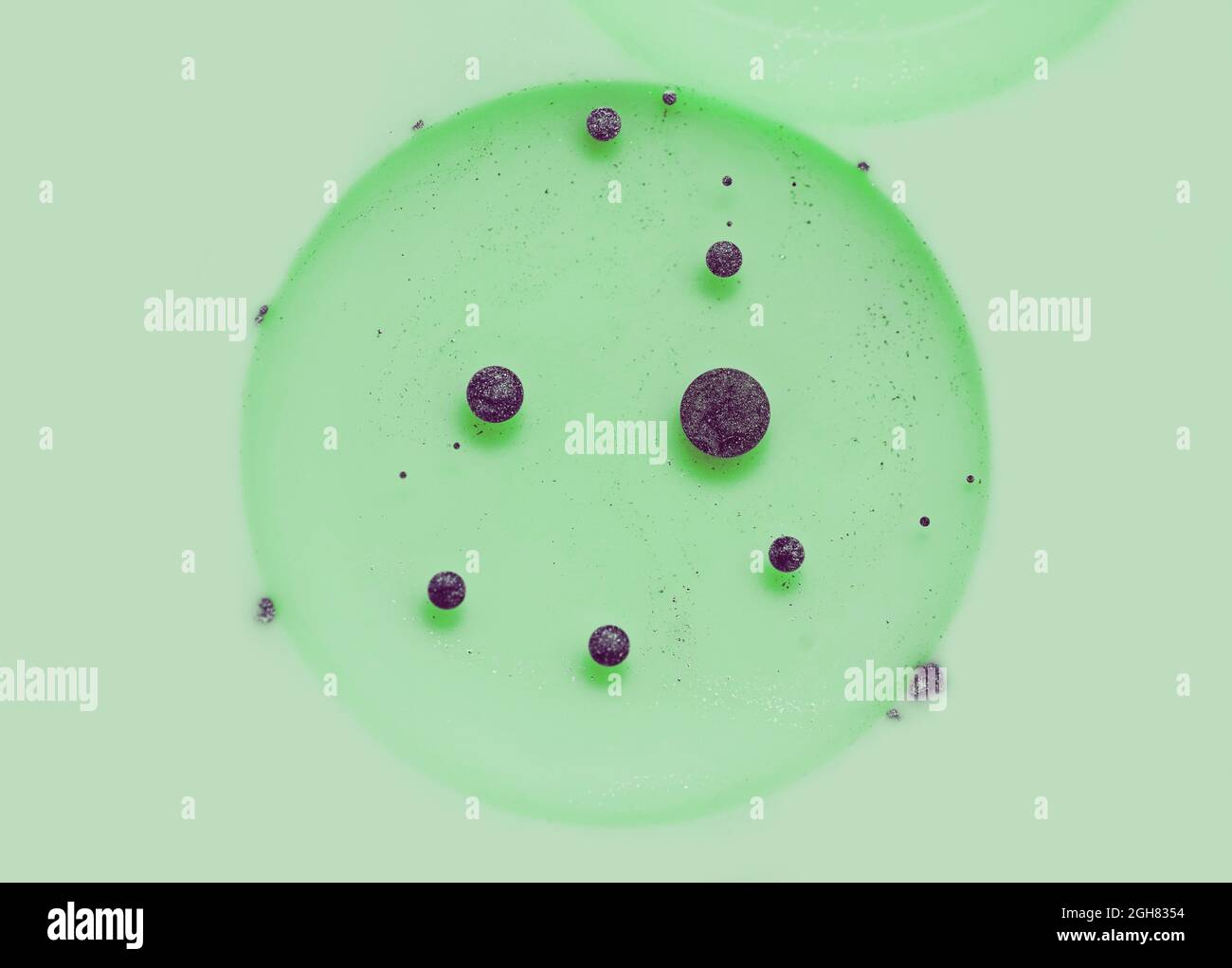 Milk Oil Acrylic Paint Artwork Stock Photo - Alamy