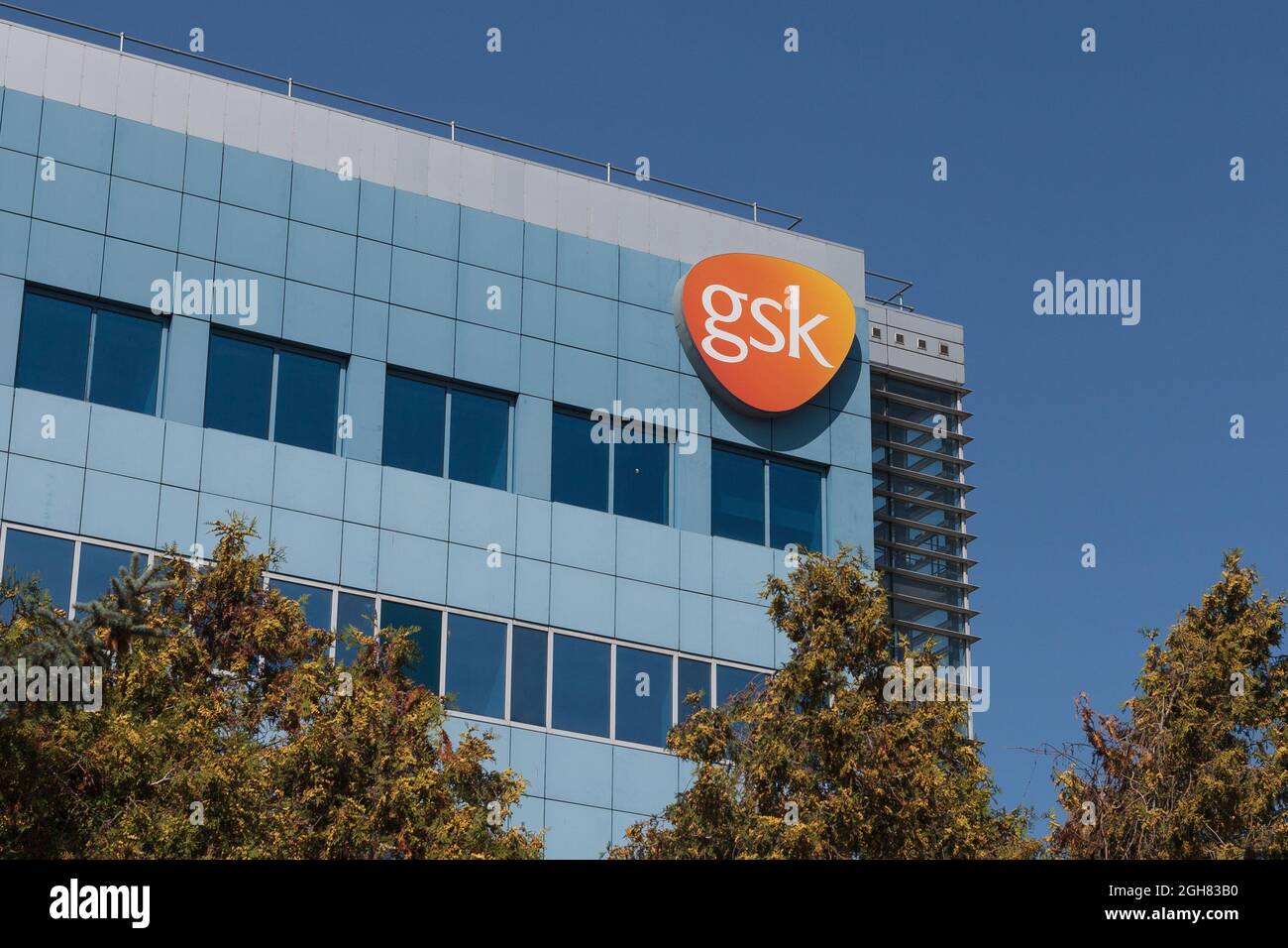 Logo of GlaxoSmithKline Biologicals in Poland. Office pharmaceutical ...