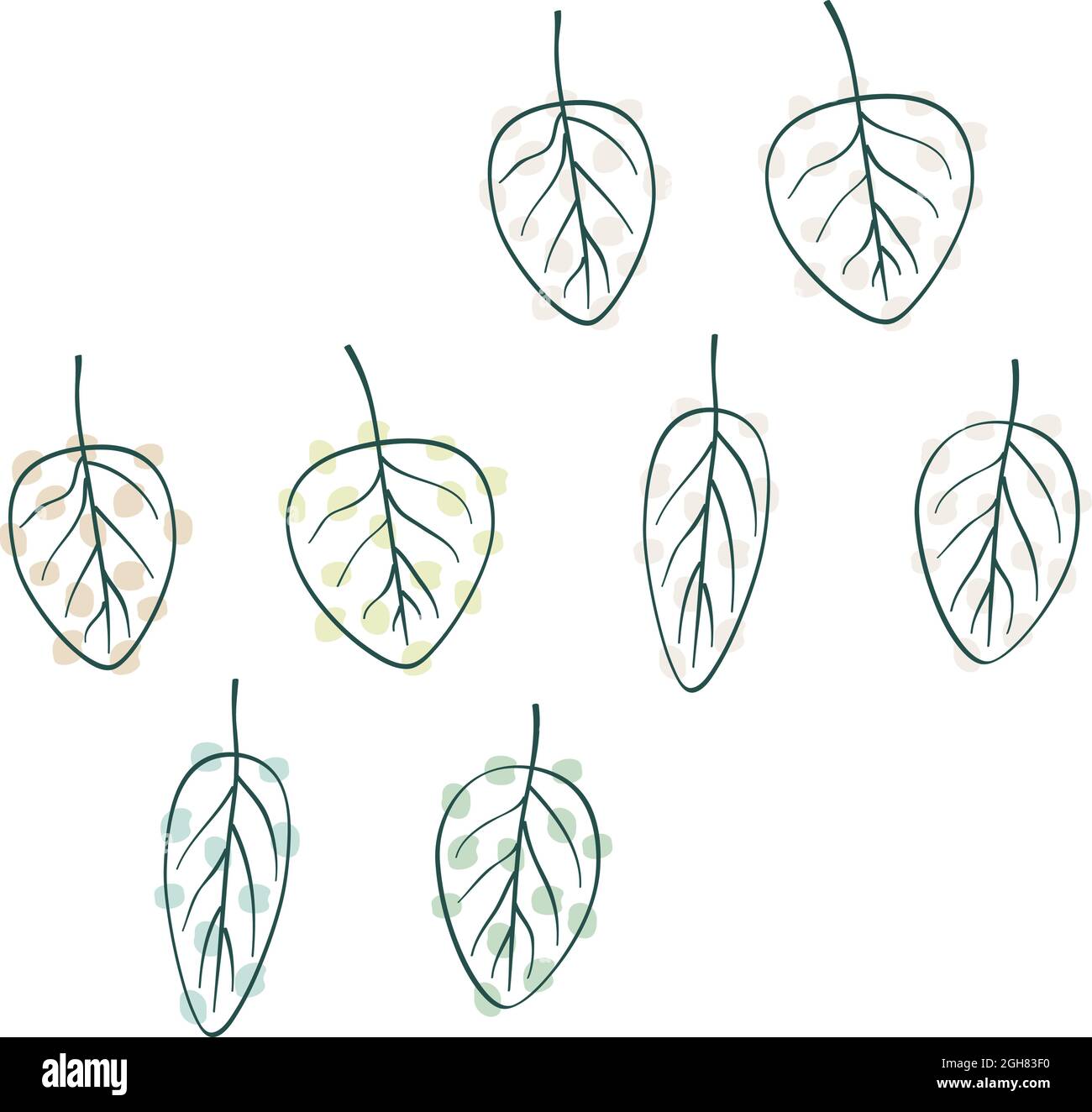 Set of various leaves - vector illustration Stock Vector Image & Art ...