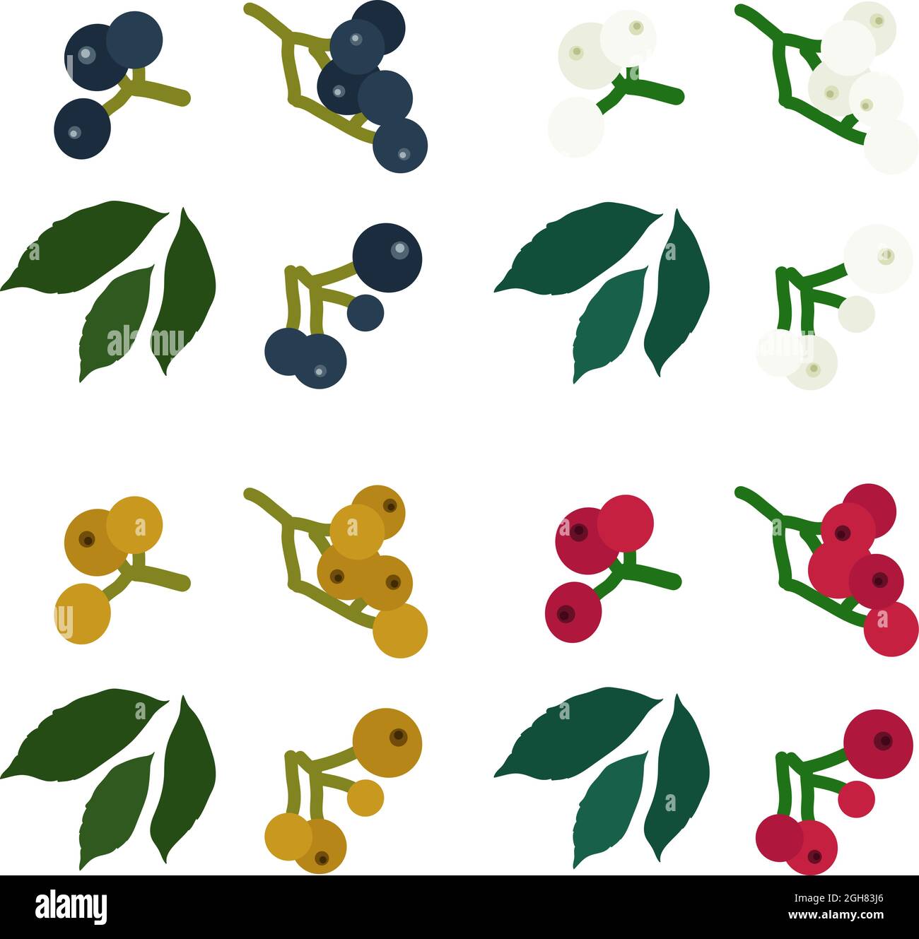 Set of autumn berries - vector illustration Stock Vector Image & Art ...