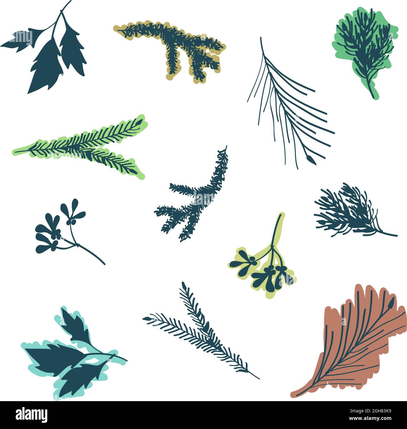 Set of hand drawn branches - vector illustration Stock Vector Image ...