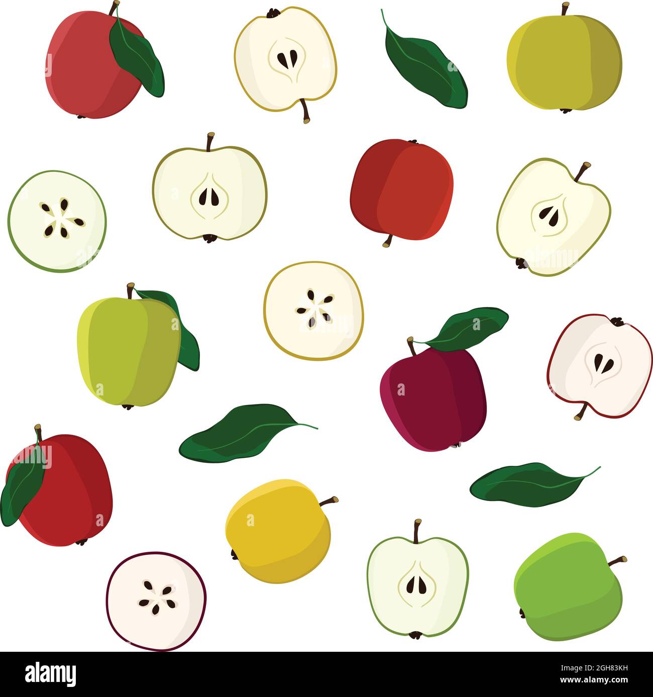 Various apples set - vector illustration Stock Vector Image & Art - Alamy