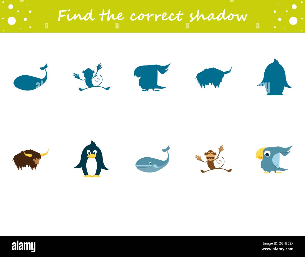 Find the correct shadow penguin, yak, parrot, monkey, whale. Education ...