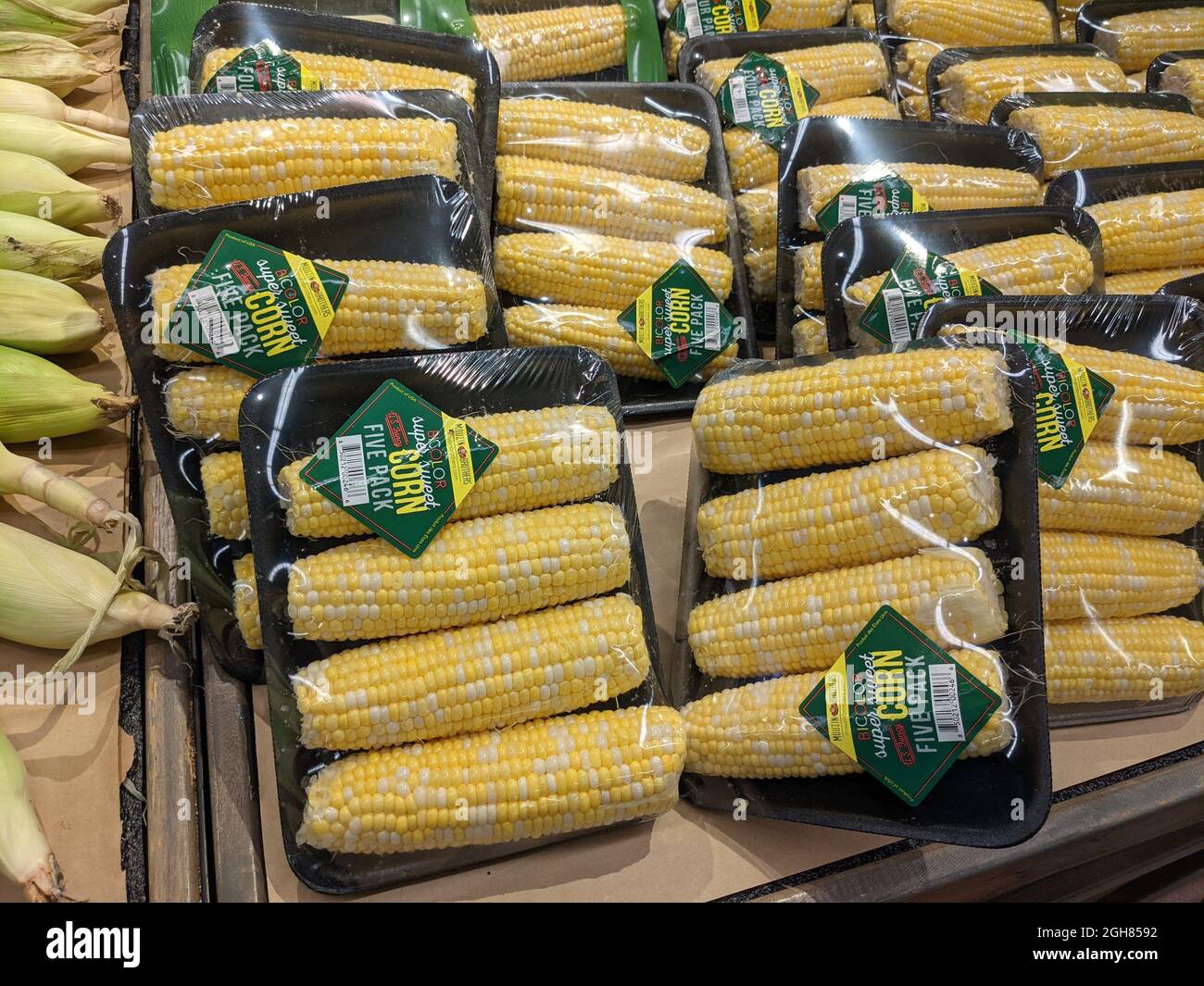 Corn available for purchase Stock Photo - Alamy