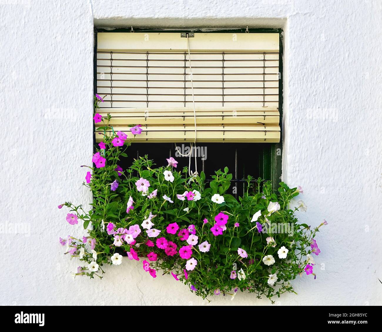 White louvered shutter hi-res stock photography and images - Alamy