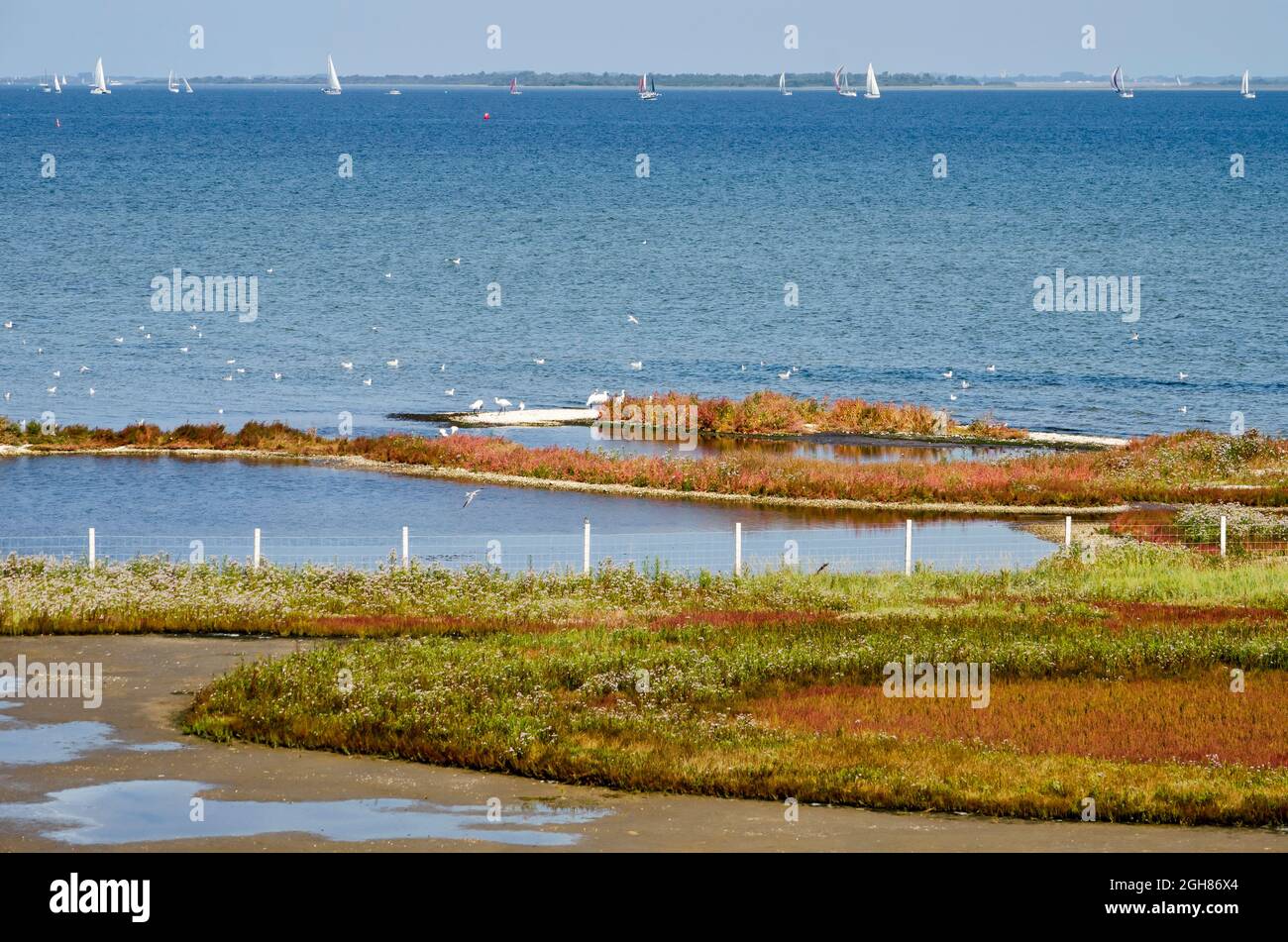 View of lake Grevelingen in the Netherlands, the largest saltwater lake ...