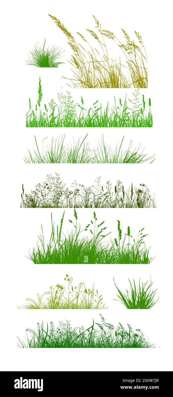 Set of grass lines. Herbal horizontal background. Vector Illustration ...