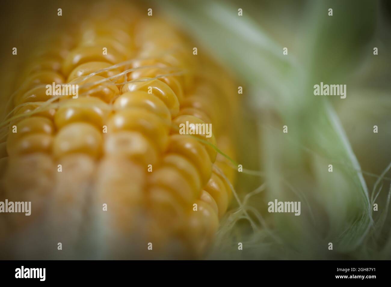 Fresh juicy corn with leaves on a wooden table. Autumn background ...