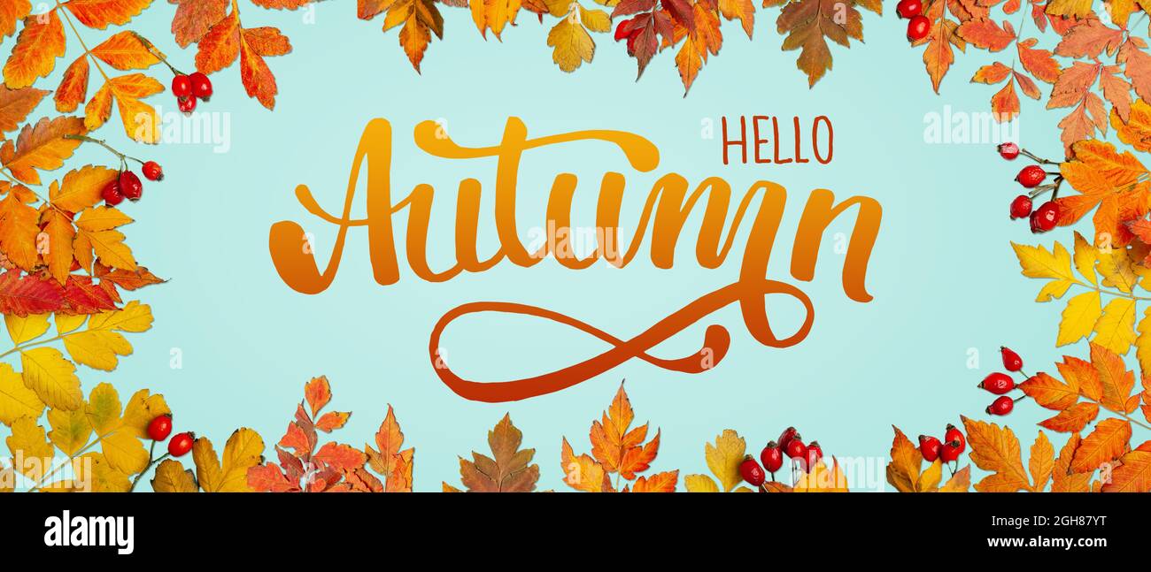 Autumn background. A frame made of autumn leaves. Autumn banner ...