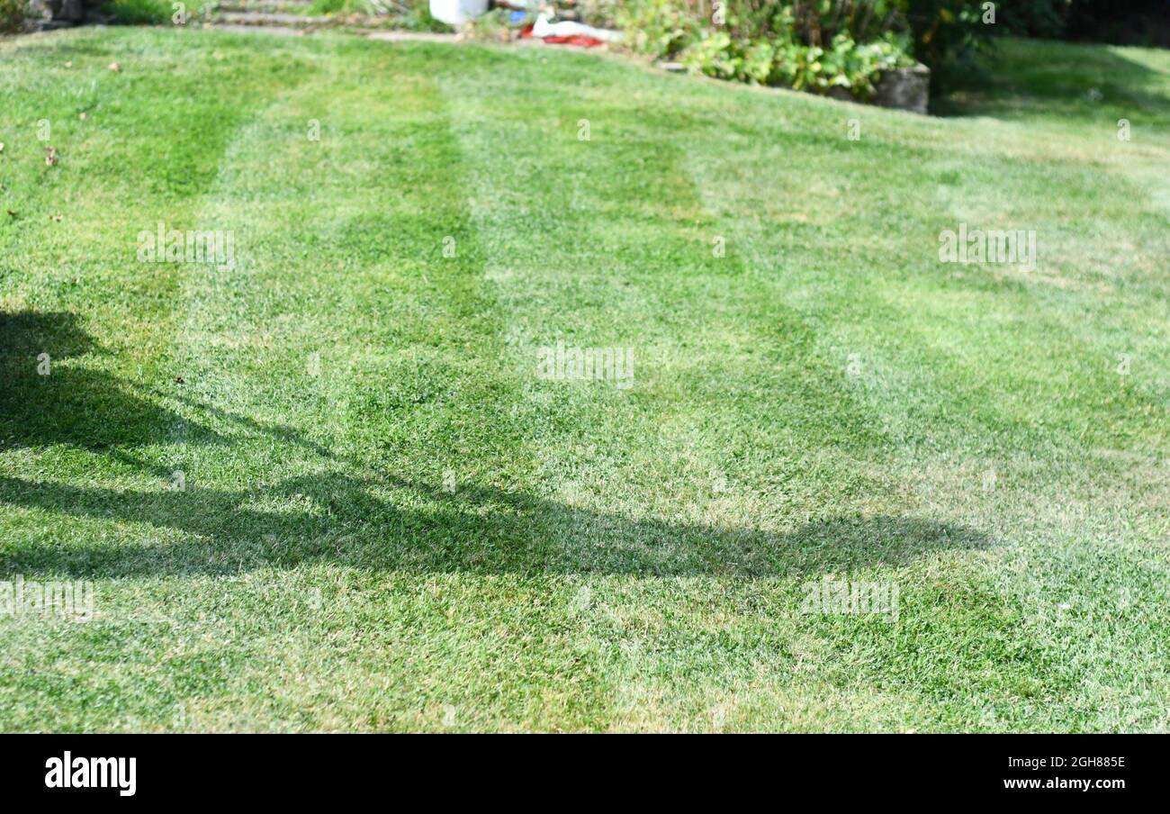 A man shadow on a summers day, whilst mowing the lawn in an English ...