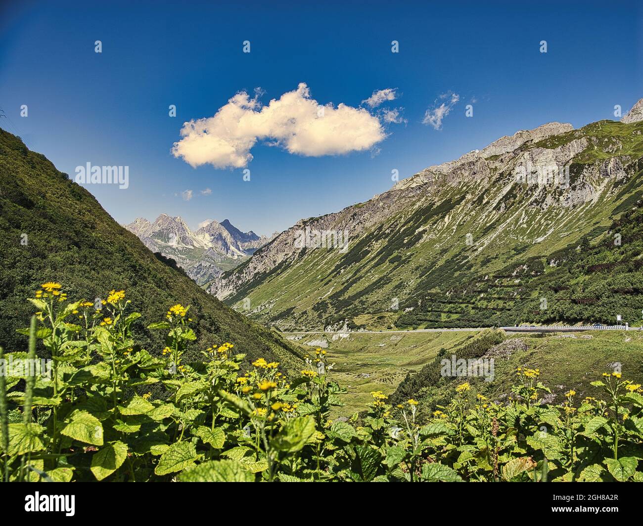Landscape of the Arlberg covered in greenery under the sunlight and a ...