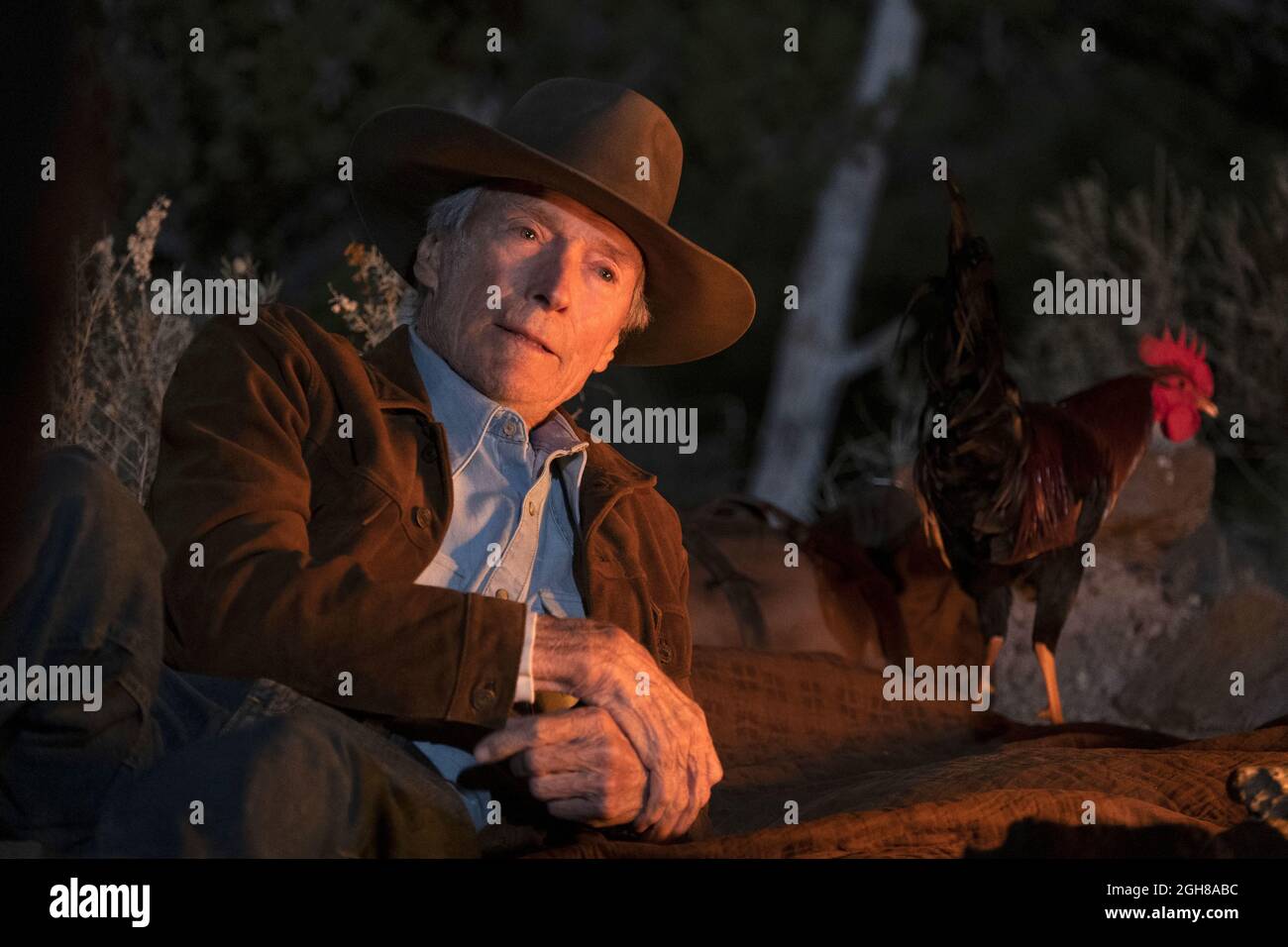 CLINT EASTWOOD in CRY MACHO (2021), directed by CLINT EASTWOOD. Credit ...