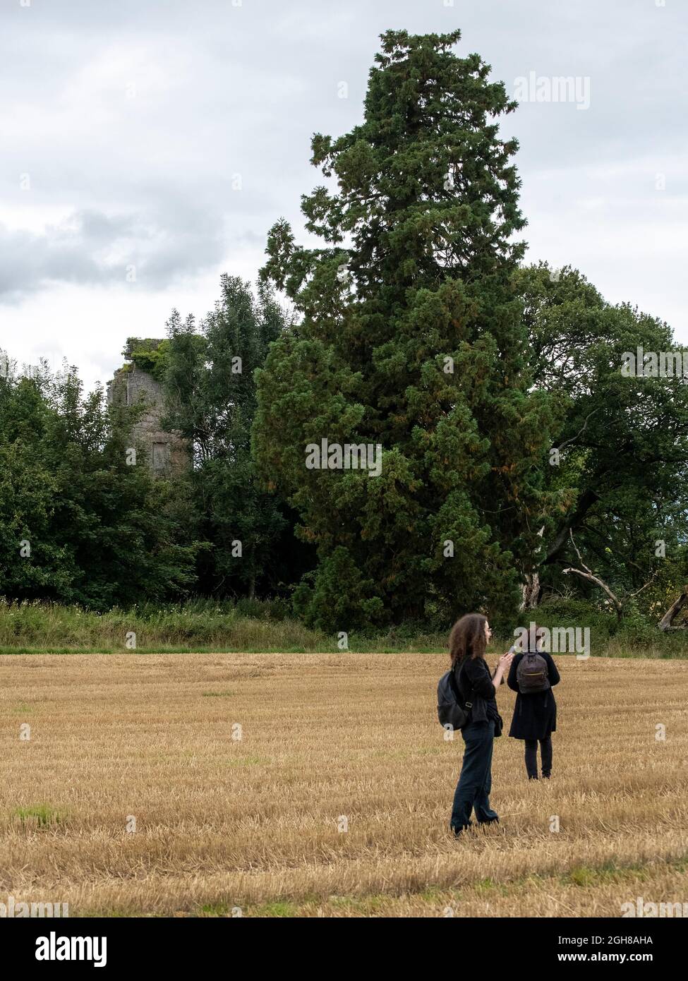 The ruins of the Dunmore Park estate in Falkirk, Scotland Stock Photo ...