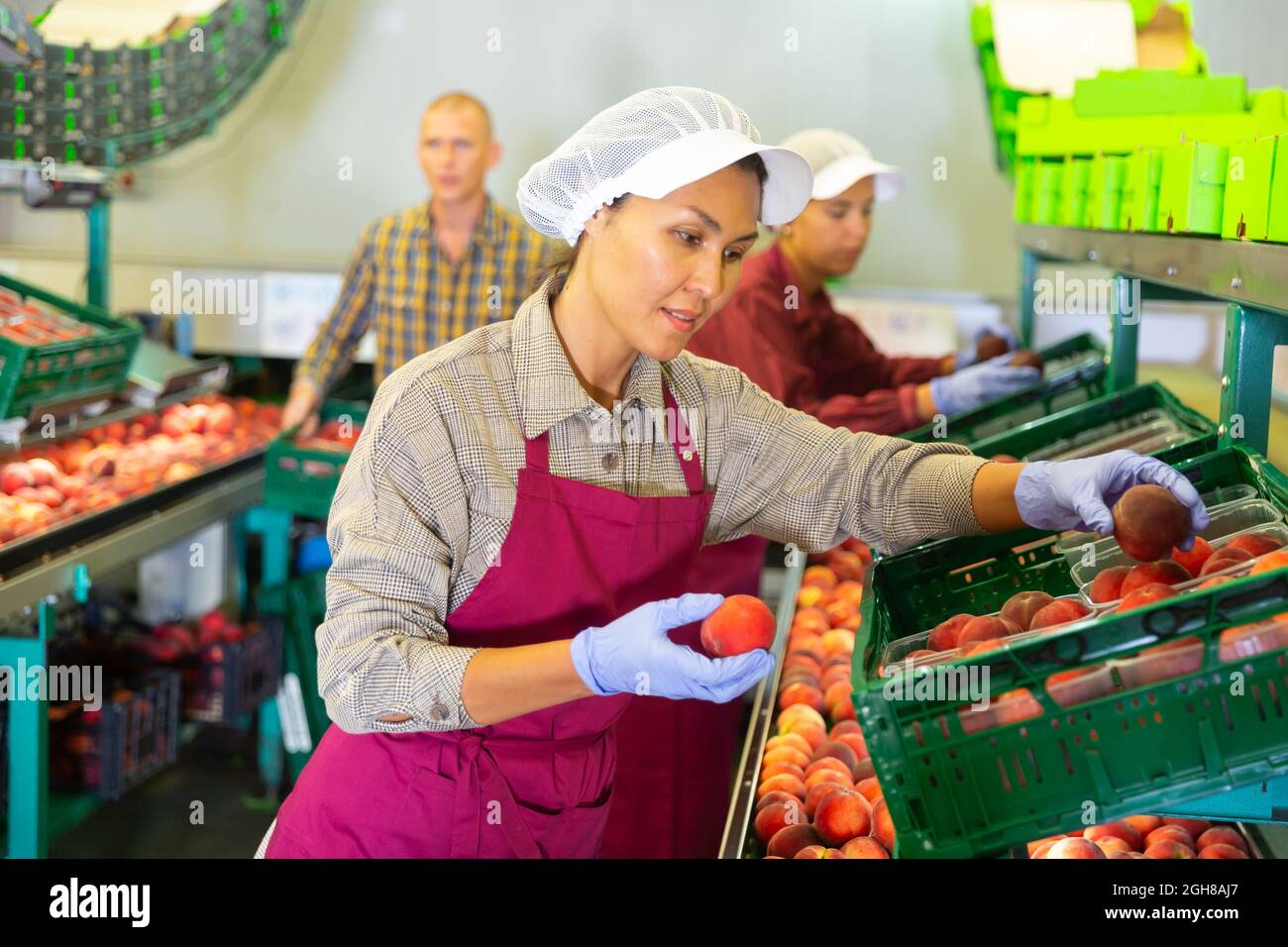European and Asian employees working at the peach warehouse Stock Photo ...