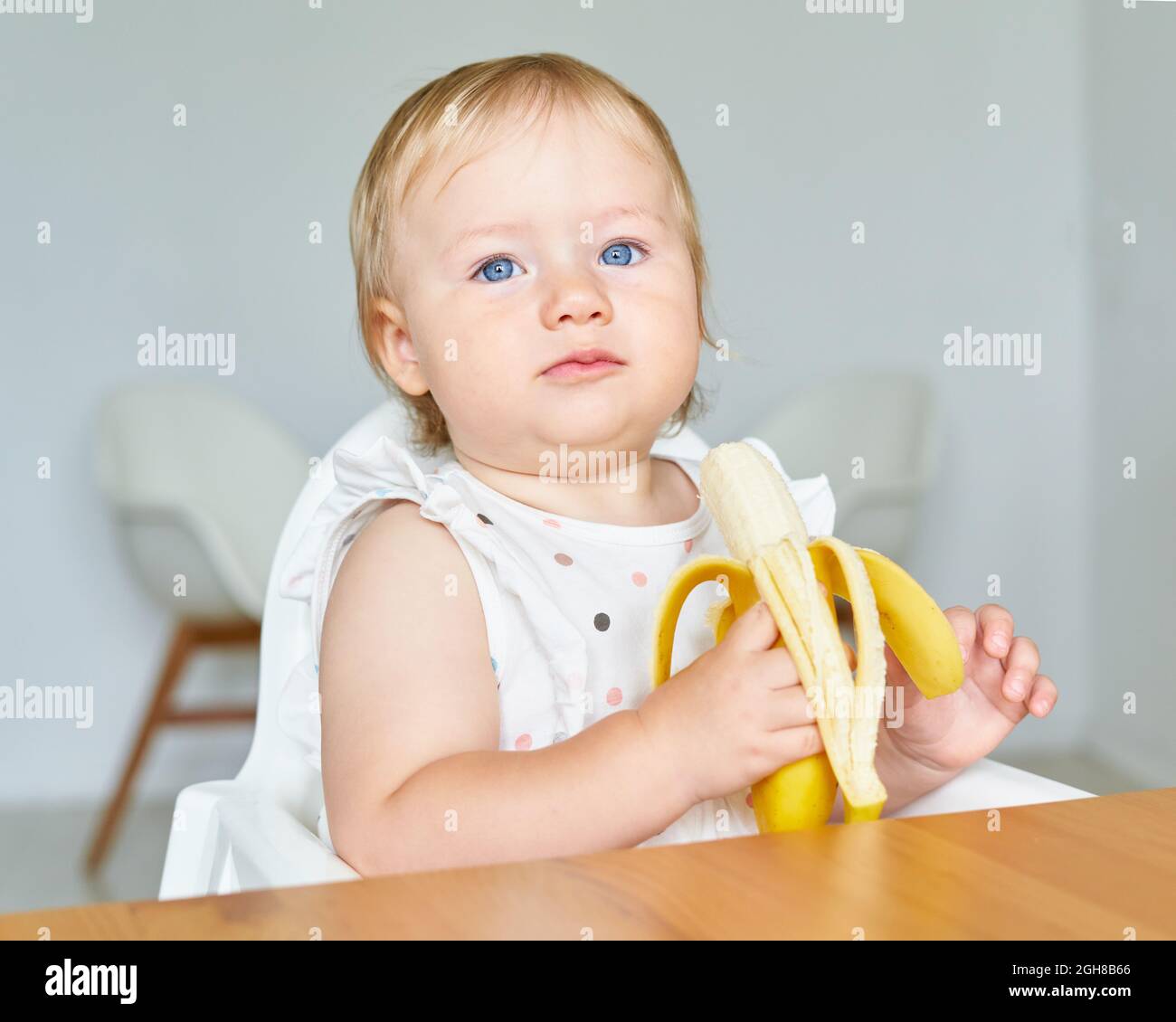 Blond blue-eyed toddler holding and biting banana. Healthy snack for ...