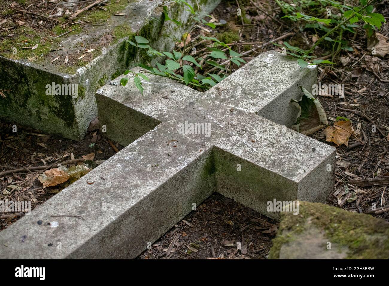 The ruins of the Dunmore Park estate in Falkirk, Scotland Stock Photo ...