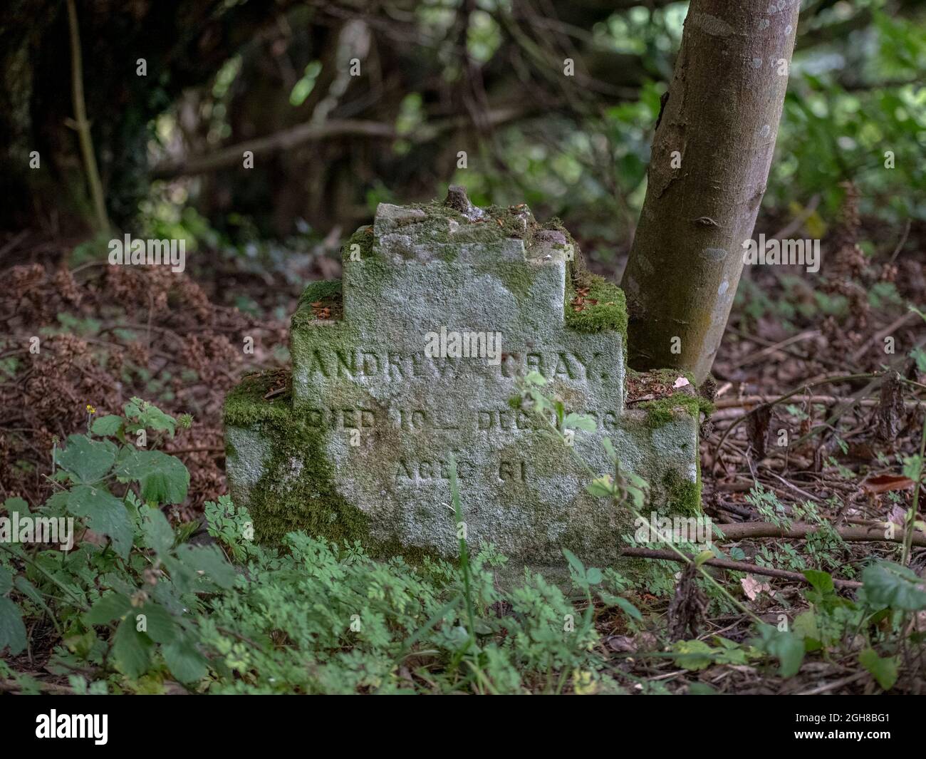 The ruins of the Dunmore Park estate in Falkirk, Scotland Stock Photo ...