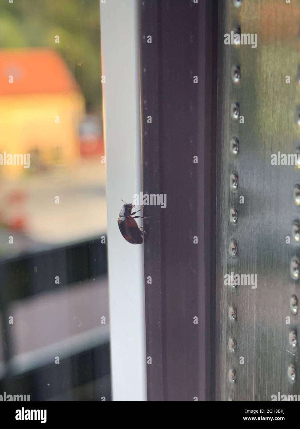 Small sash windows hi-res stock photography and images - Alamy