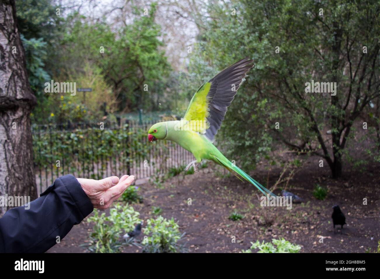 Mid air snapshot hi-res stock photography and images - Alamy