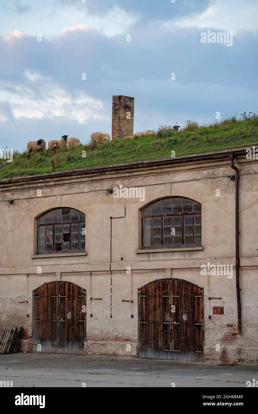 Terezín barracks hi-res stock photography and images - Alamy