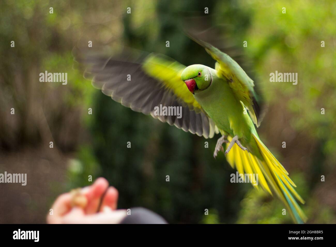 Mid air snapshot hi-res stock photography and images - Alamy