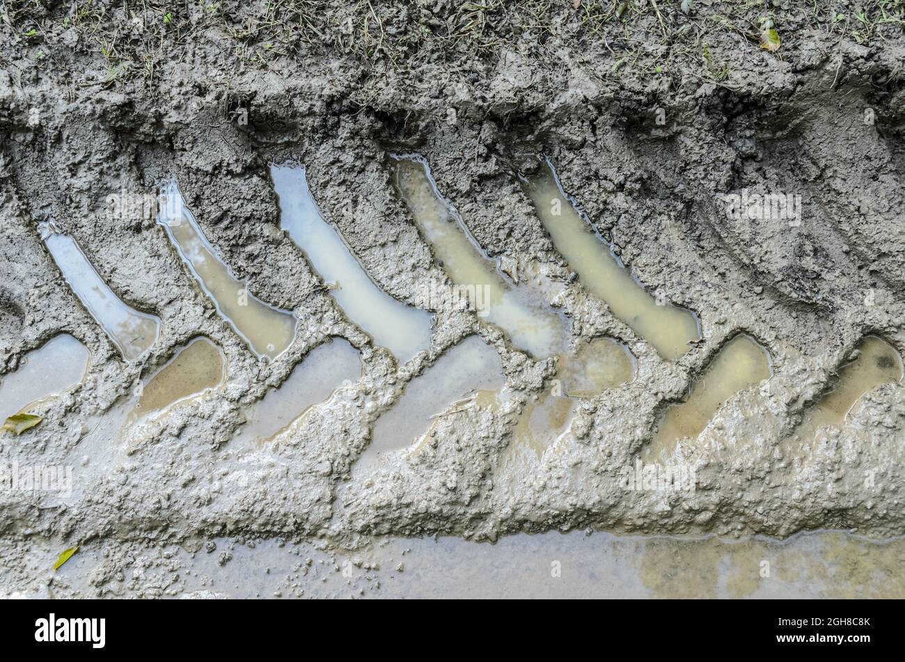 Tire tracks in mud hi-res stock photography and images - Alamy