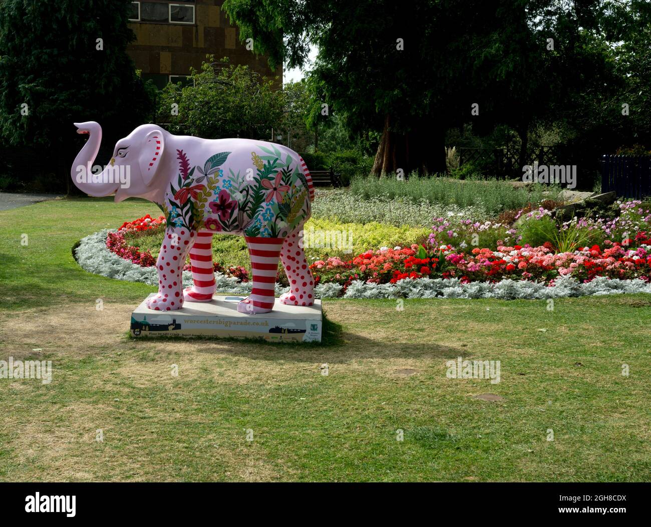 Decorated elephants hi-res stock photography and images - Alamy