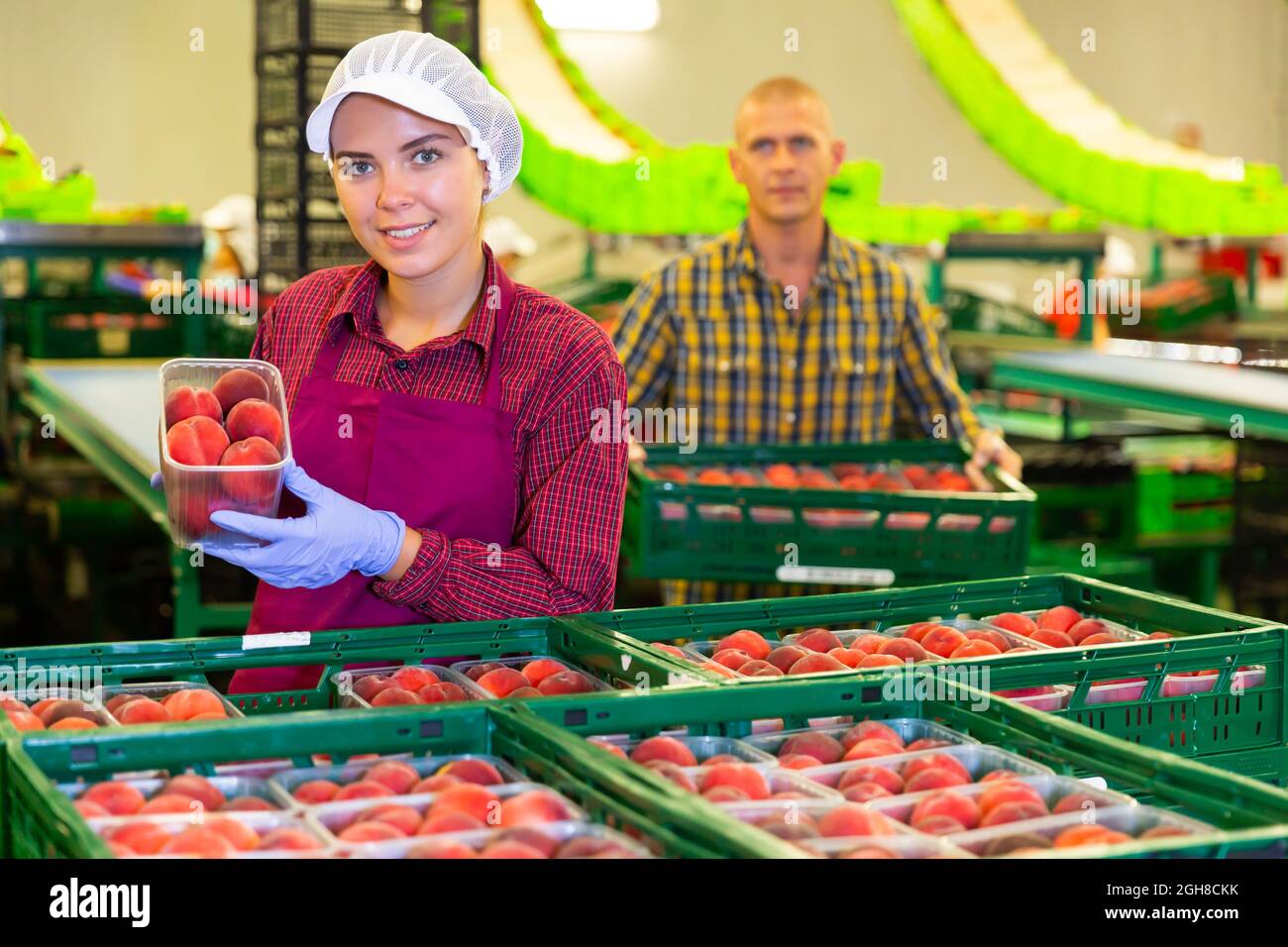 Warehouse workers packaging harvested peaches in the crate Stock Photo ...