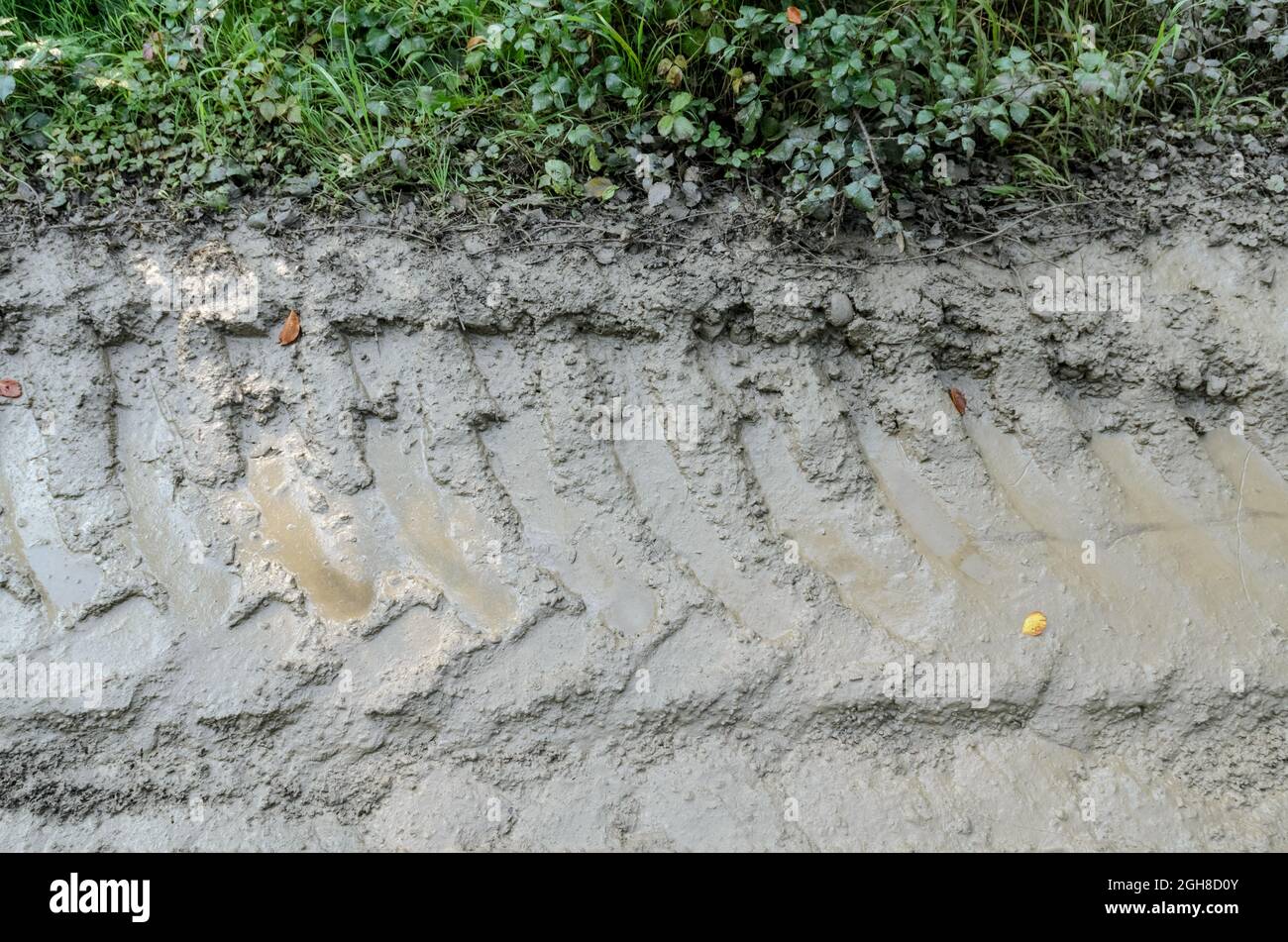 Tyre marking hi-res stock photography and images - Alamy