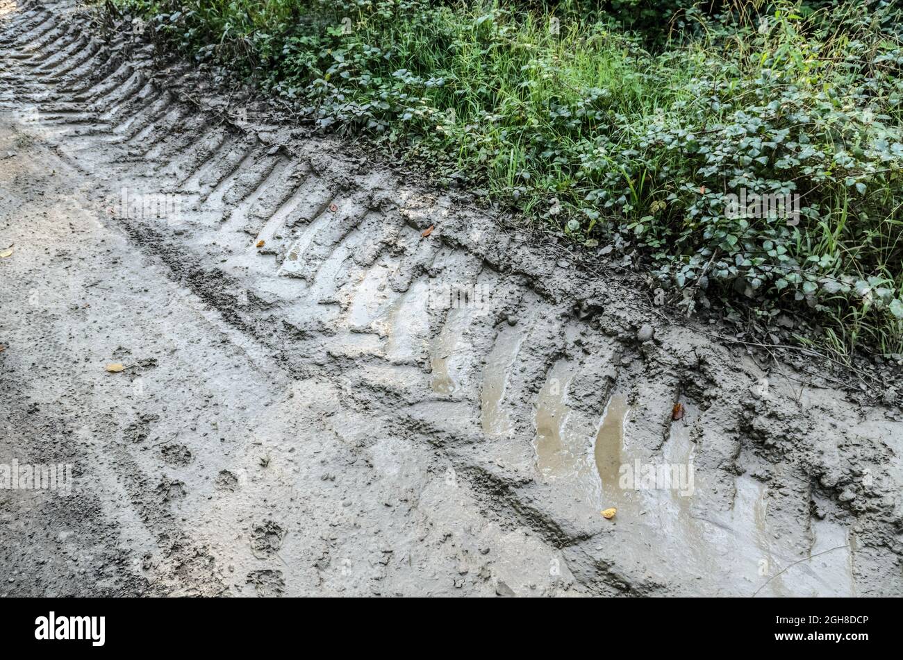 Large and wide tyre tracks or tire marks of a heavy duty tractor on a ...