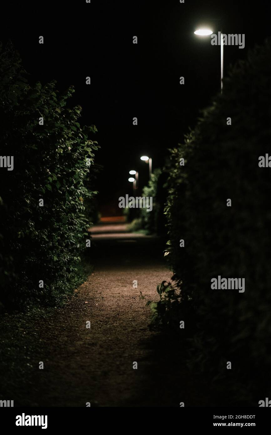 small gravel path between bushes in the night Stock Photo - Alamy