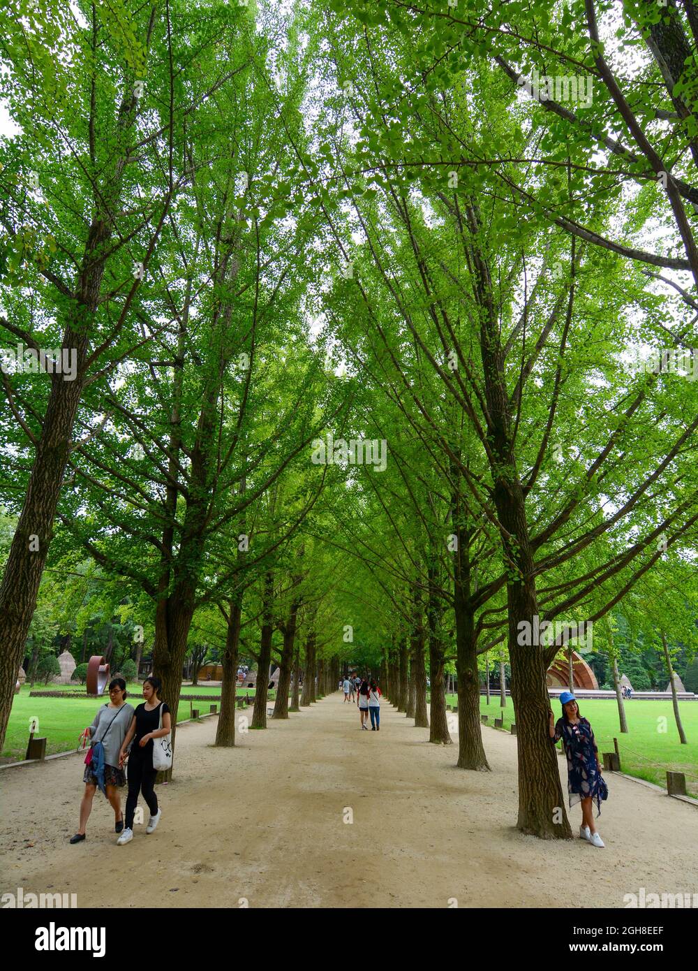 Nami, South Korea - Feb 6, 2015. People walking at the tree park on ...