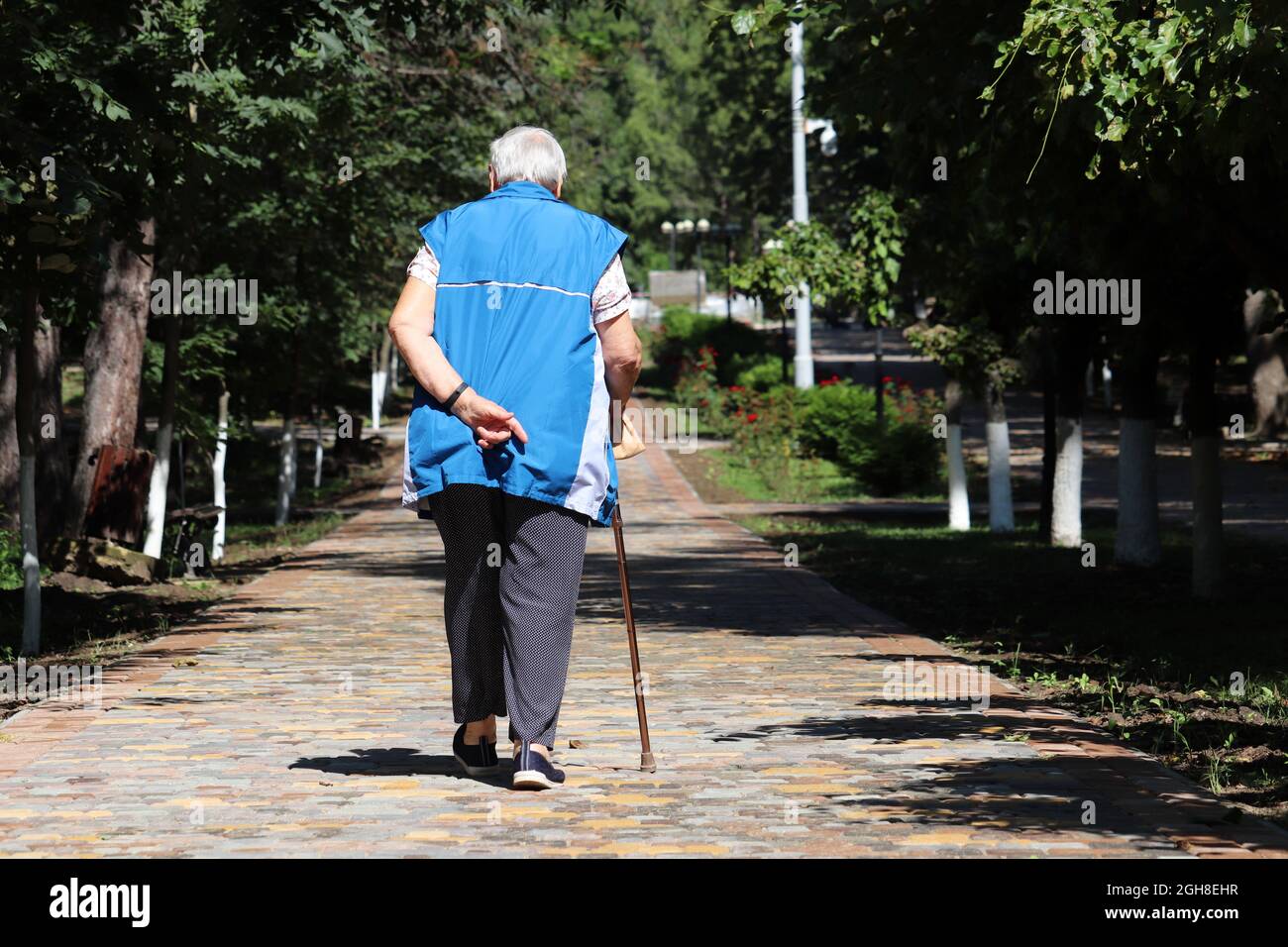 Old woman walking with a cane on a street in town park. Limping person ...