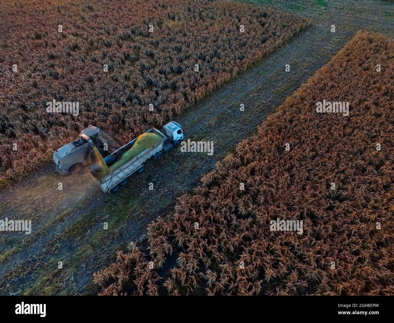 Chopping plow hi-res stock photography and images - Alamy