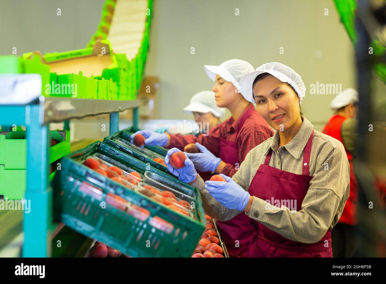 Hired farm worker checks and sorts peaches in a warehouse Stock Photo ...