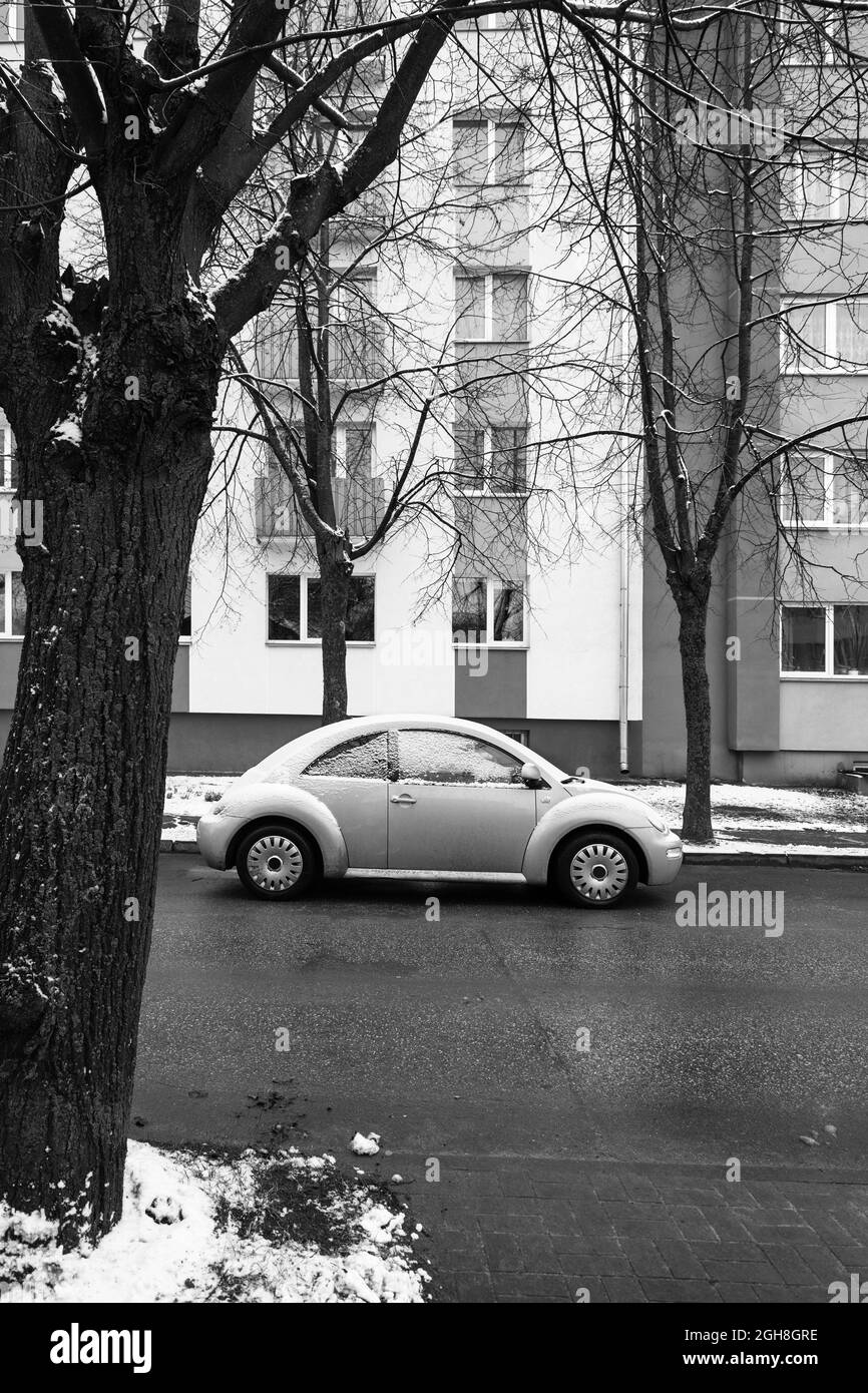 Small trees on street Black and White Stock Photos & Images - Alamy