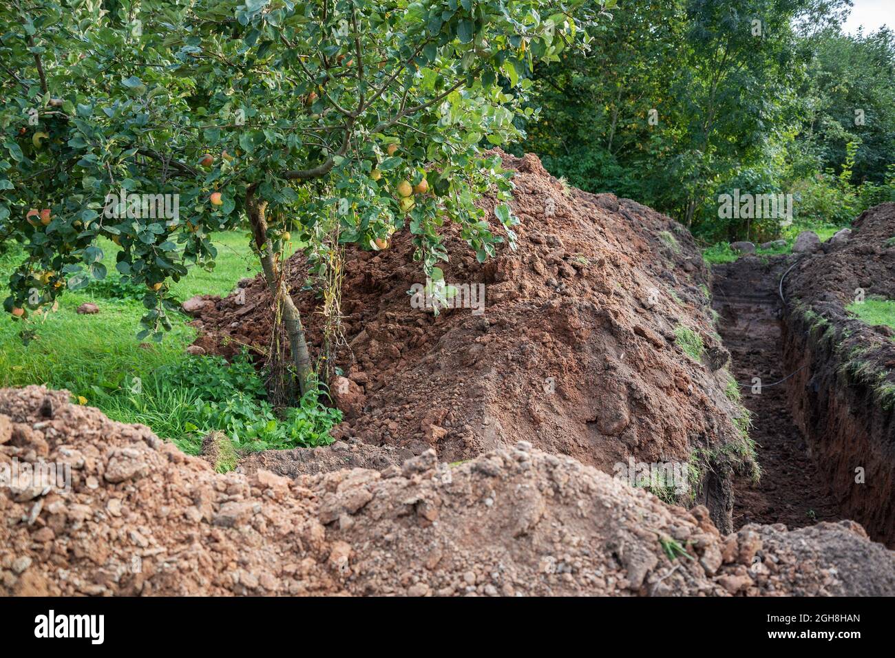 Digged field hi-res stock photography and images - Alamy
