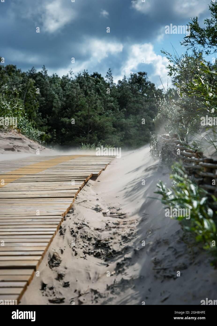 Path to the sea in a windy Stock Photo - Alamy