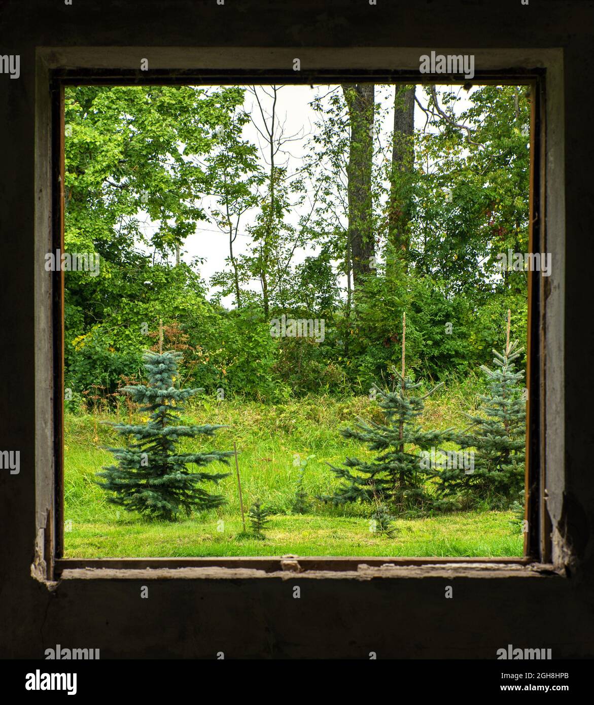 View through window hole from inside of house Stock Photo - Alamy