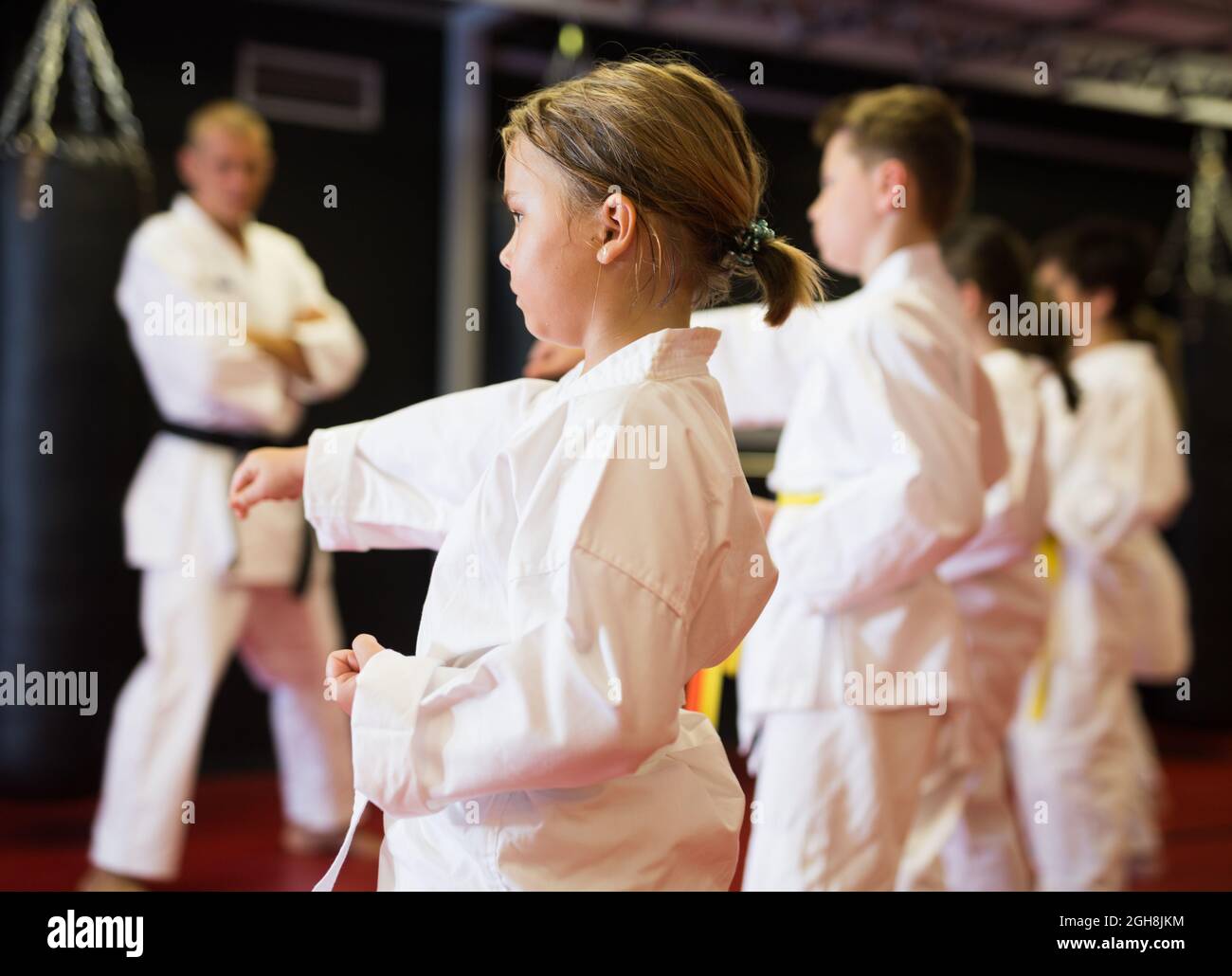 Children wearing karate uniform fighters poses in white kimono, group ...