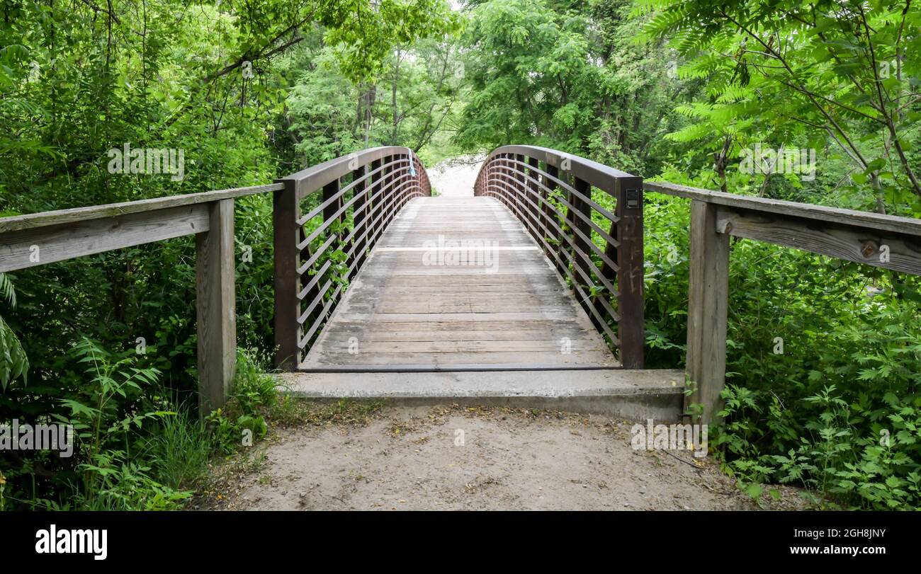 Wooden Boardwalk hiking trail path through the marsh and waterfront ...