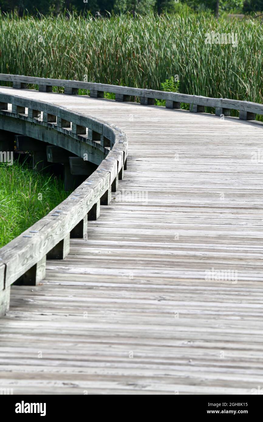 Wooden Boardwalk hiking trail path through the marsh and waterfront ...