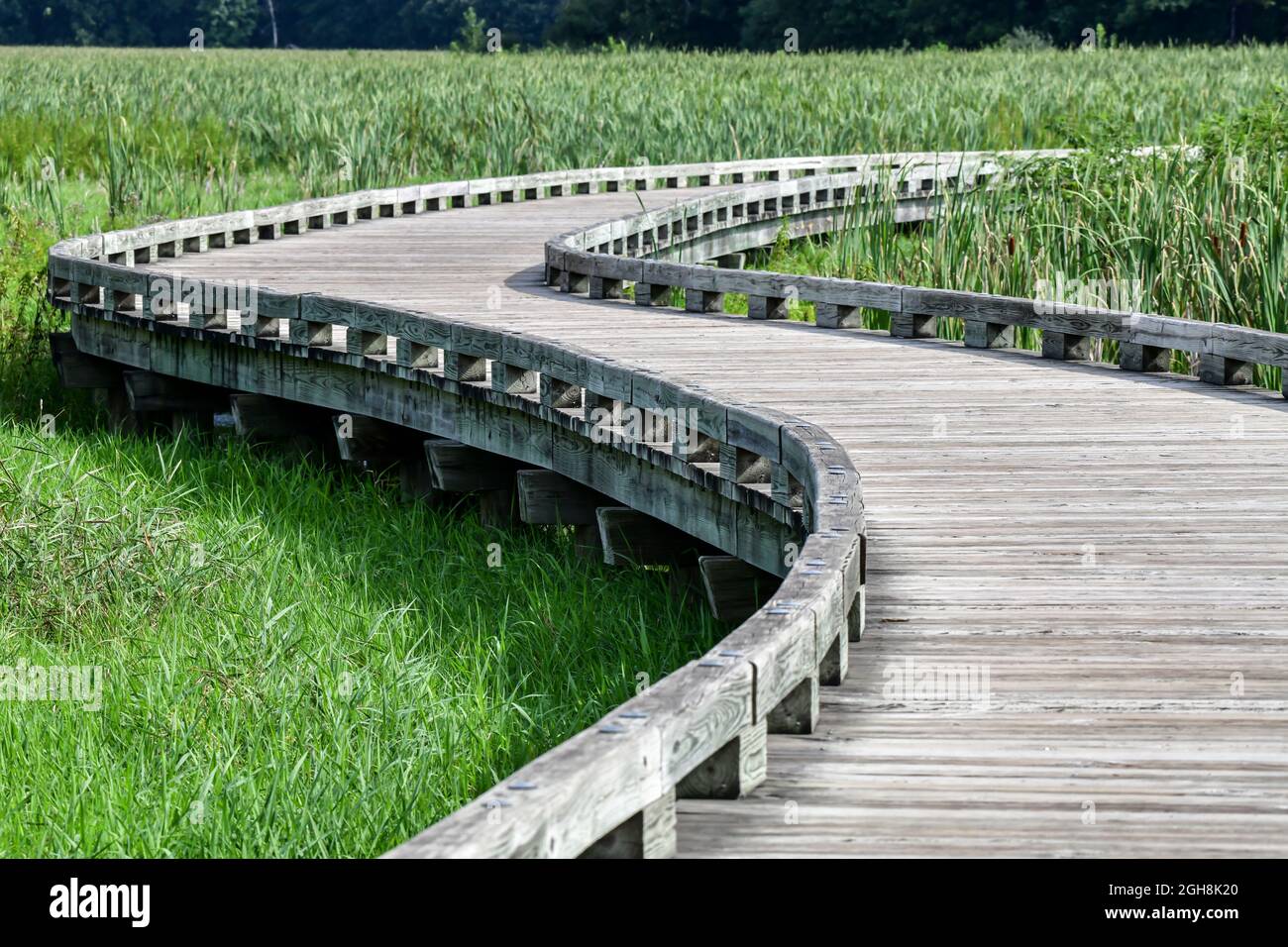 Wooden Boardwalk hiking trail path through the marsh and waterfront ...