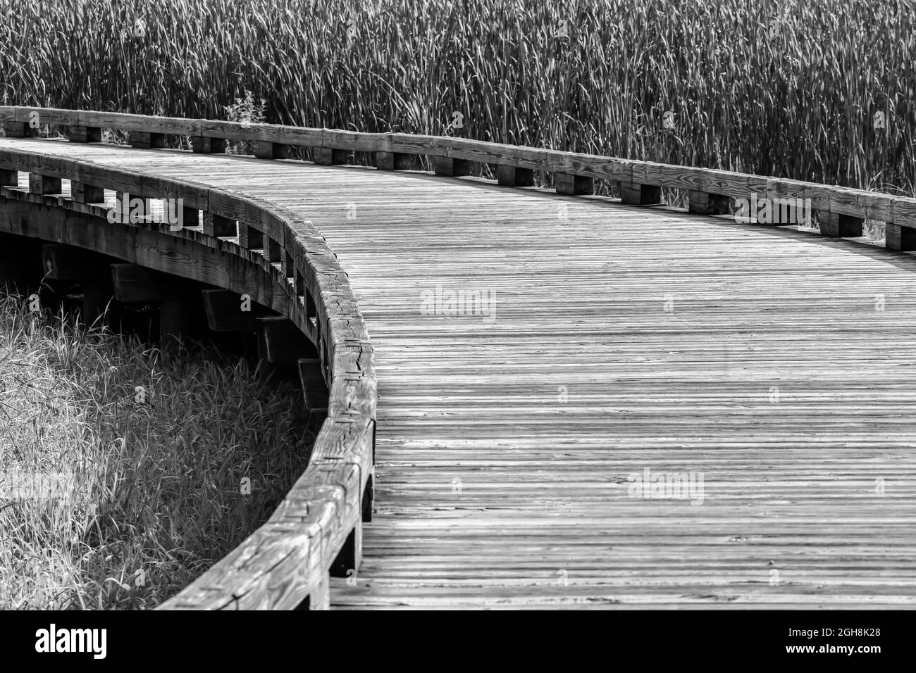 Wooden Boardwalk hiking trail path through the marsh and waterfront ...